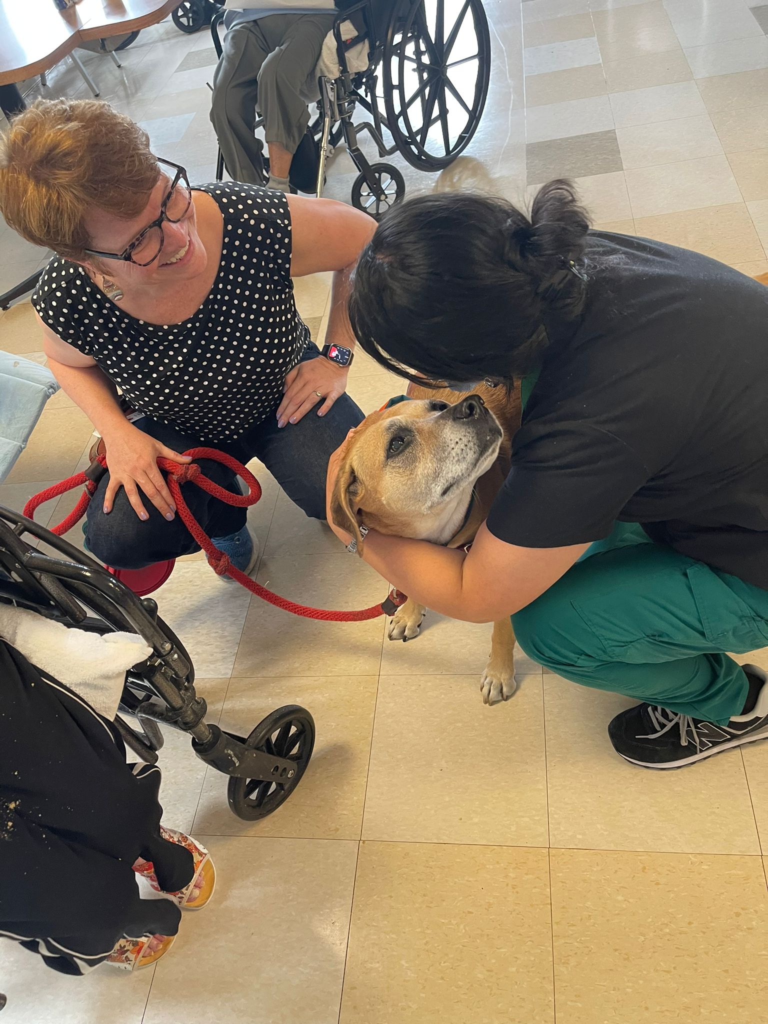 Healing Paws 🐕 – Fort Tryon Center for Rehabilitation & Nursing